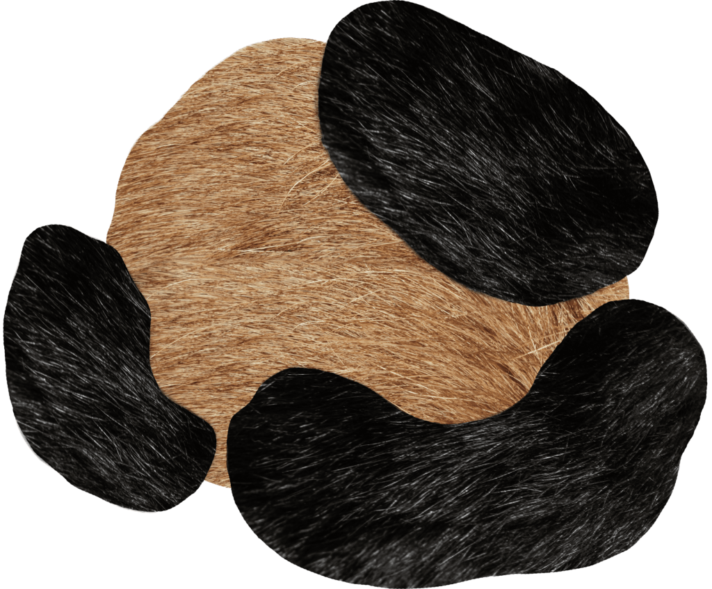 Rugs Archives - Page 5 of 12 - Moooi Carpets