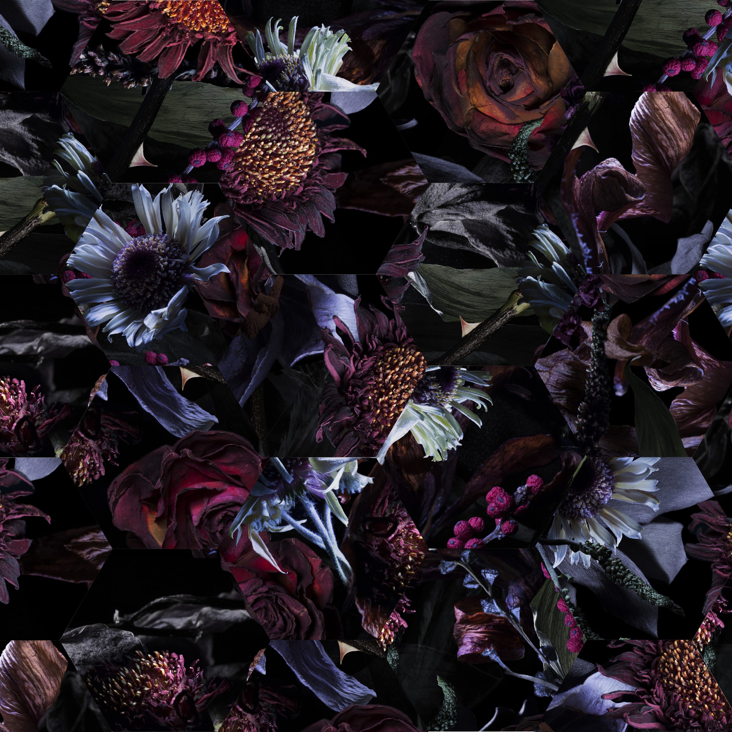 Fool's Paradise - Moooi Carpets